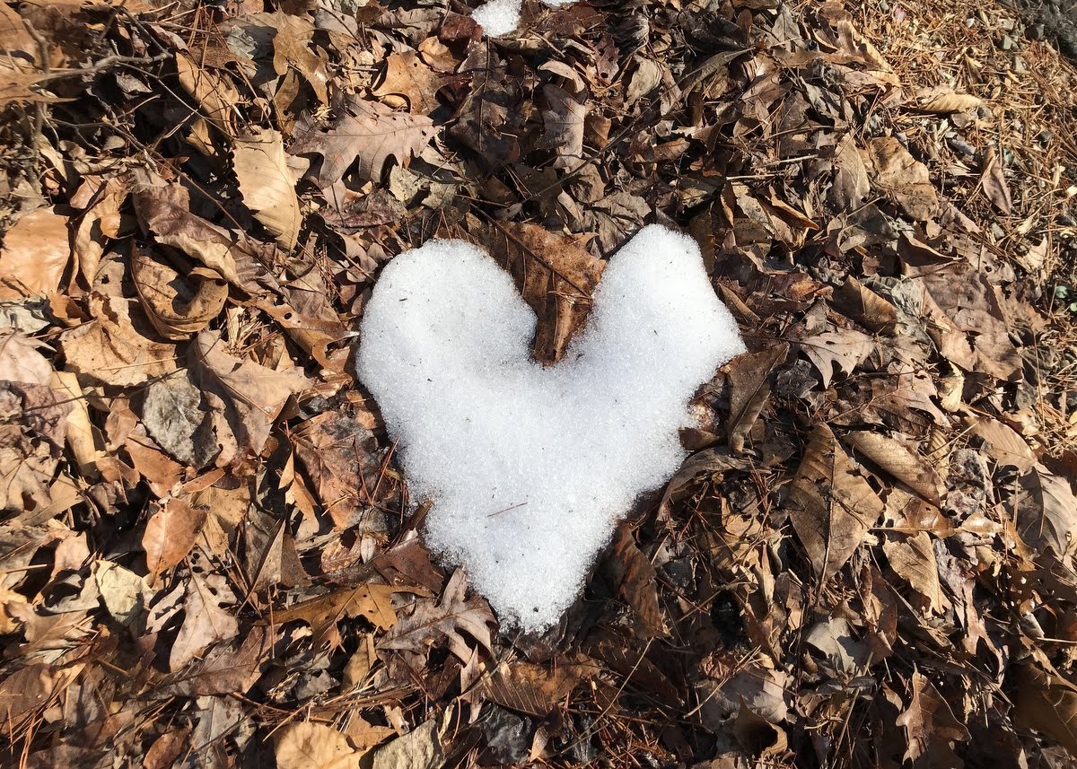 Bumping Pictures - Jackie Woods