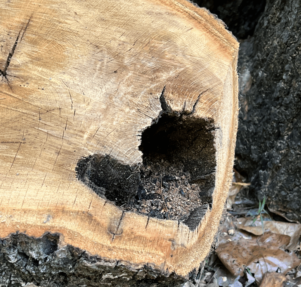 Creating New Spaces - Jackie Woods