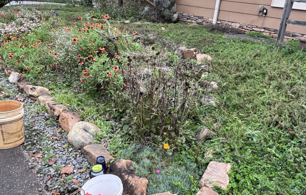 Growing Up Love - Jackie Woods