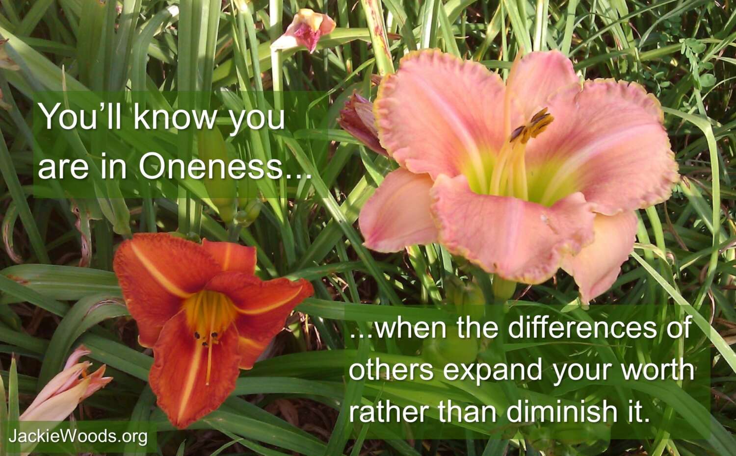 Jackie Woods | Spiritual Teacher | Columbus, NC