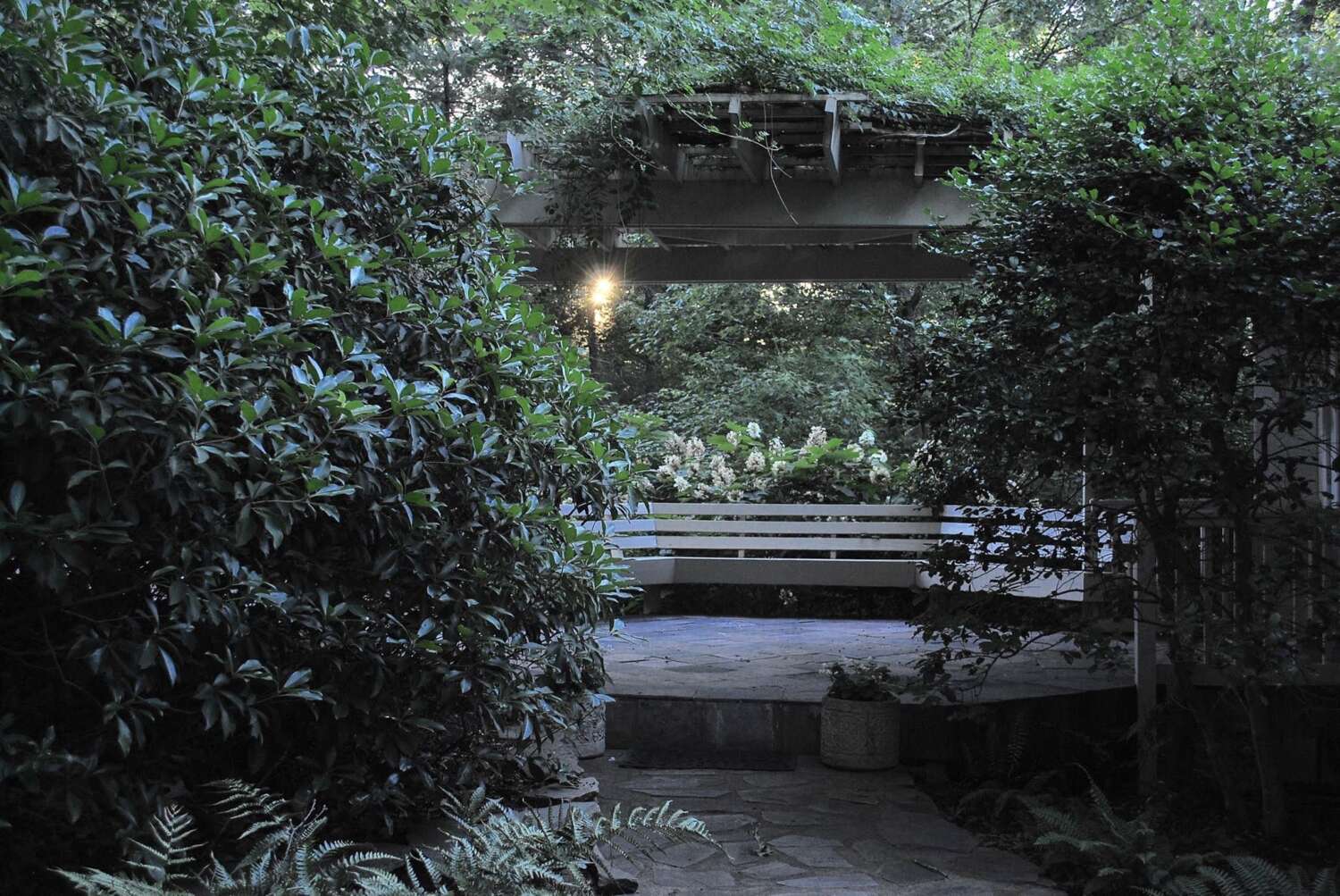 Tending a Fire - Jackie Woods